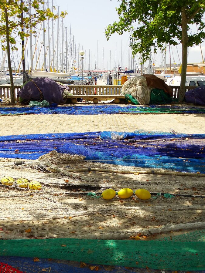 Palma Mallorca harbour yachts and catamarans