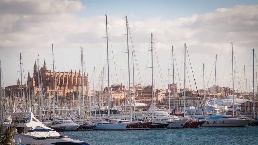 Palma marina with cathedral in background