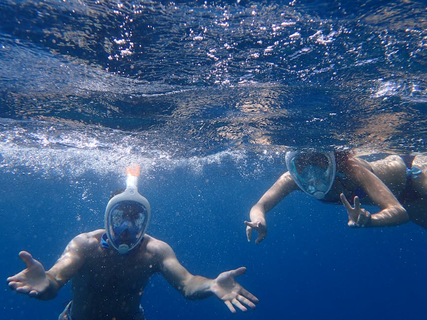 Snorkelers in Mediterranean water off Mallorca