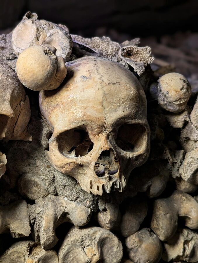 Close-up of skulls and bones in the Paris Catacombs