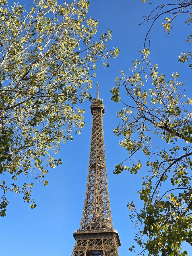 The Eiffel Tower surrounded by green trees in Paris