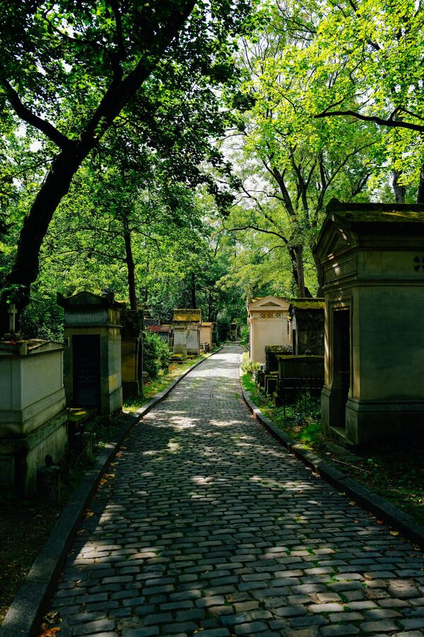 Green cobblestone path in a historic cemetery with lush trees