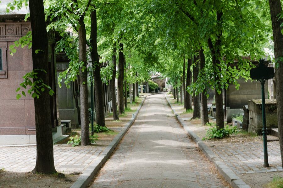 Tree-lined path through Père Lachaise with dappled light