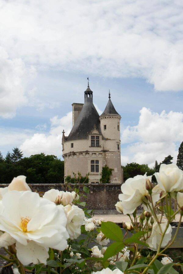 Castle tower surrounded by blooming white roses in a Loire Valley garden