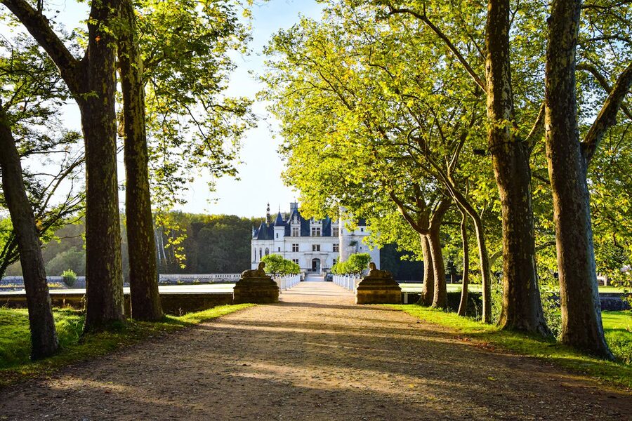 Tree-lined avenue leading toward Château de Chenonceau on a sunny day