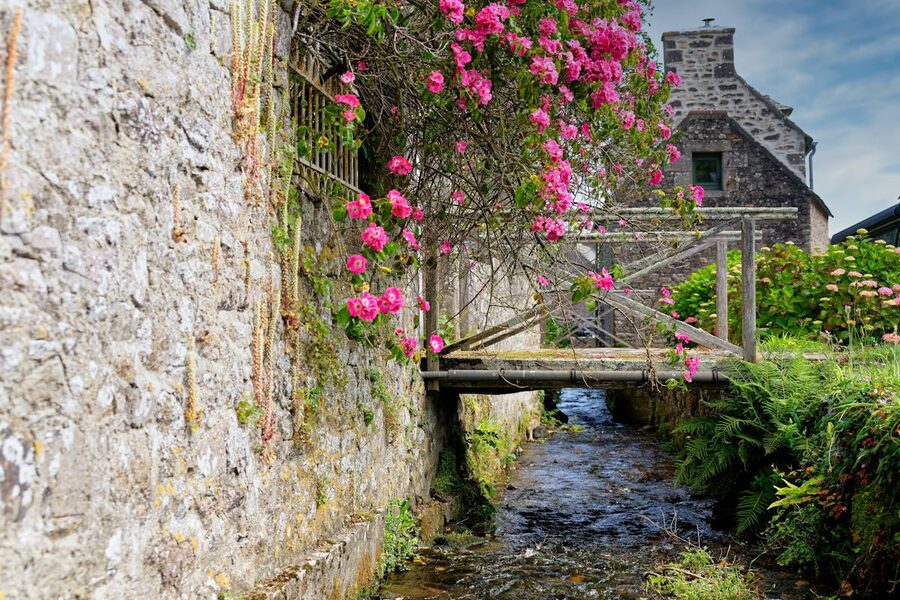 Stone house with pink flowers in Normandy France