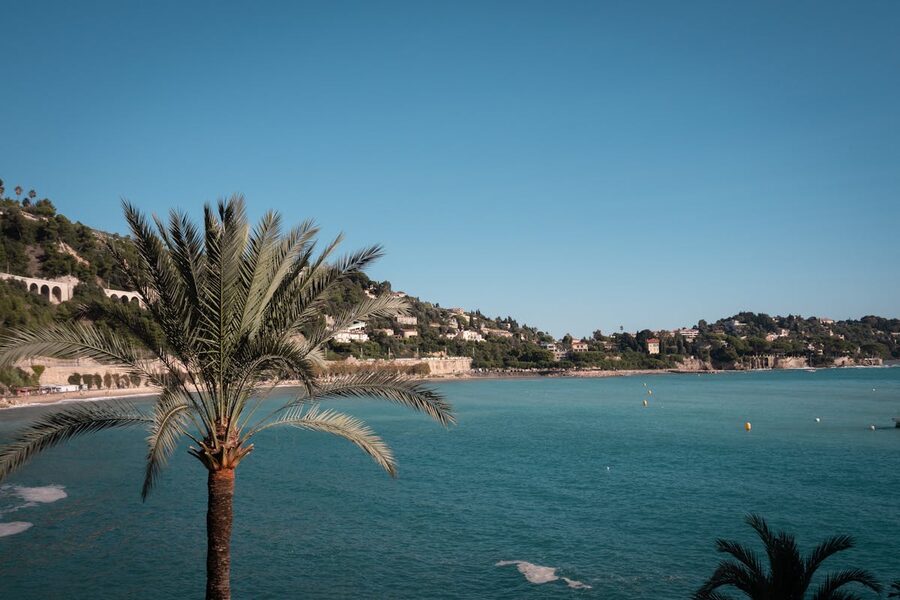 Villefranche-sur-Mer coastline with palm trees and Mediterranean blue water