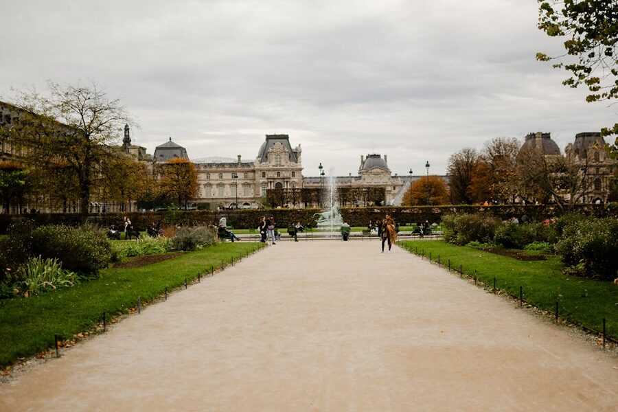 Autumn trees in the Tuileries Garden near the Louvre in Paris