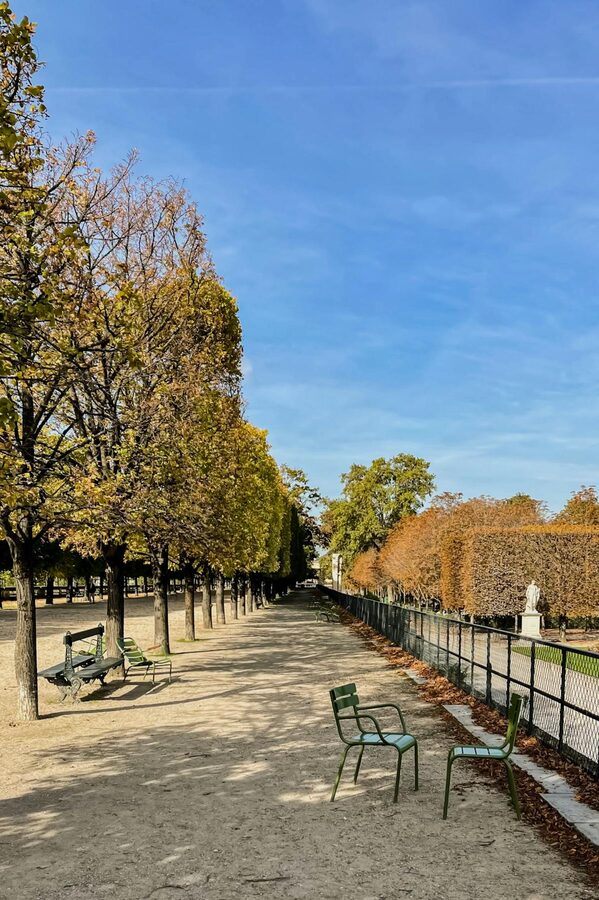 Green metal chairs and trees in a peaceful Paris park