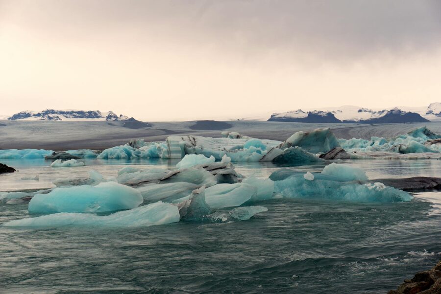 Chunks of glacier ice floating in the lagoon at golden hour