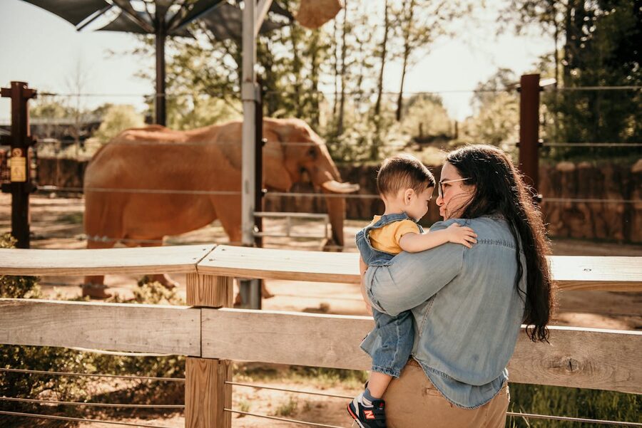 Mother and child watching elephant at zoo