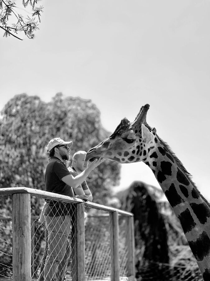 Father and child interacting with giraffe at zoo