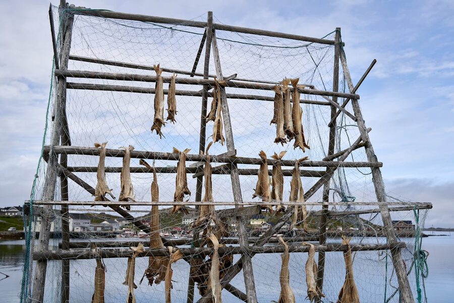 Dried fish on wooden rack by a calm harbor