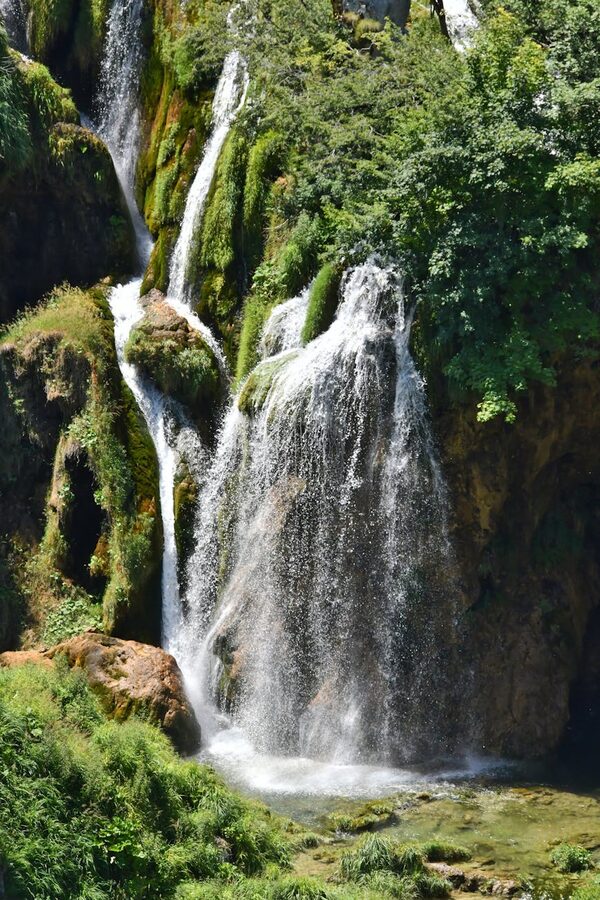 Waterfalls among green mountain trees