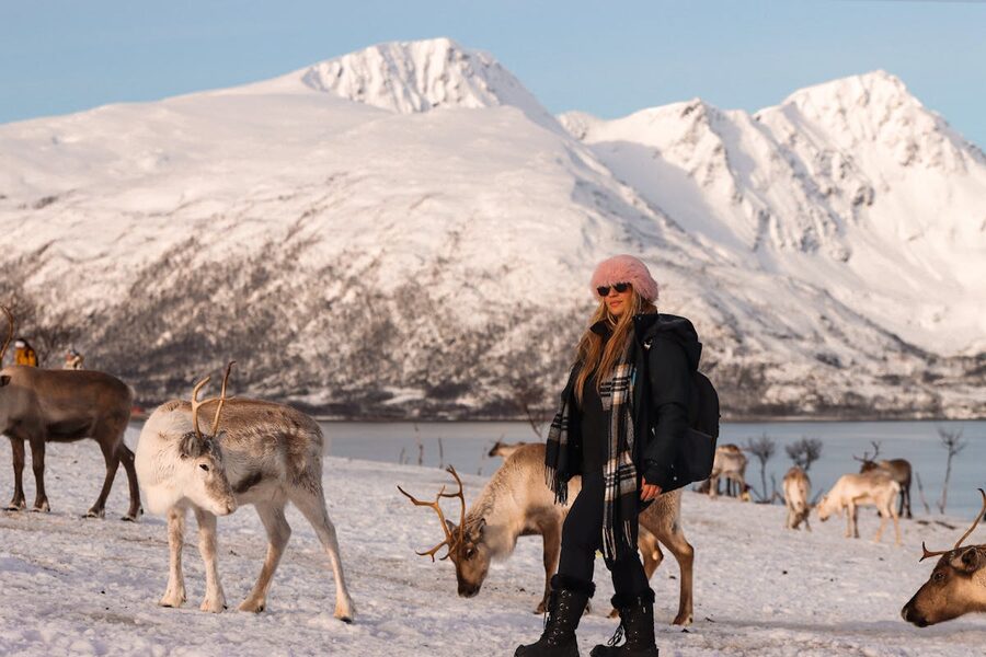 Arctic winter scenery with snow-covered trees