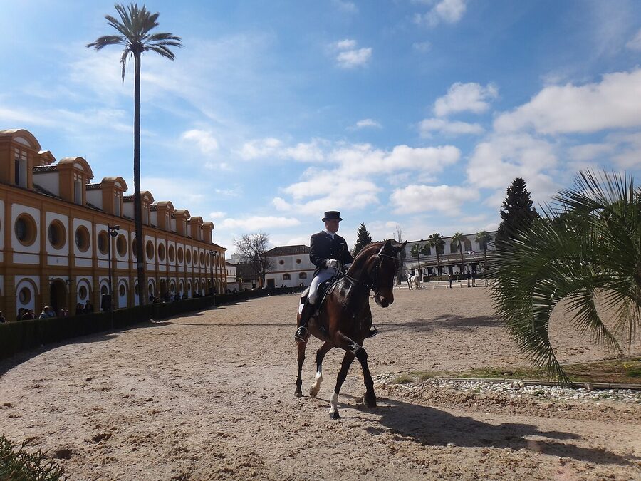 Real Escuela Andaluza exterior at Palacio de las Cadenas Jerez