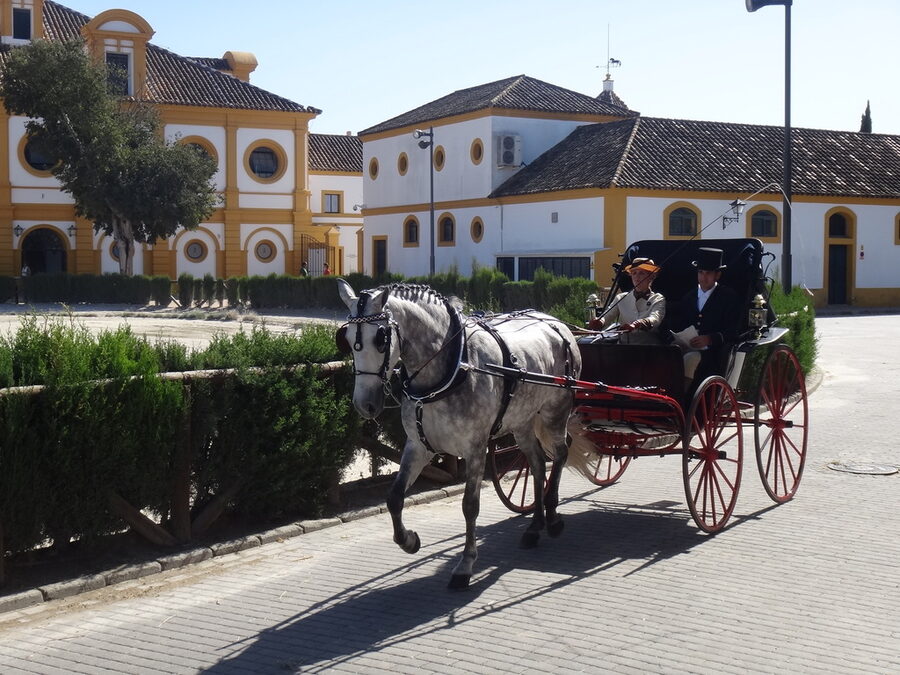 Period carriage at the Real Escuela Jerez carriage museum