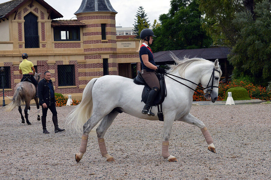 Stable complex at the Real Escuela Jerez