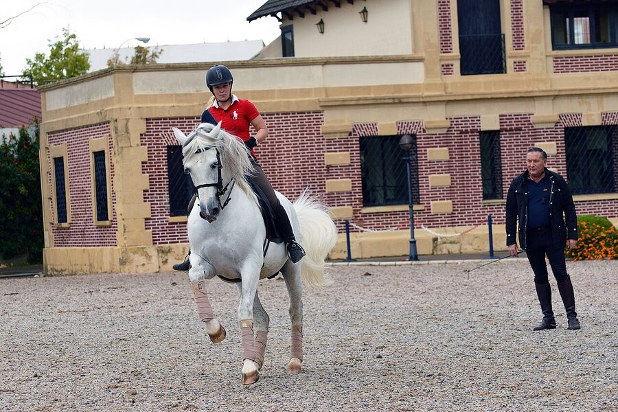 Training circle at the Real Escuela Andaluza Jerez