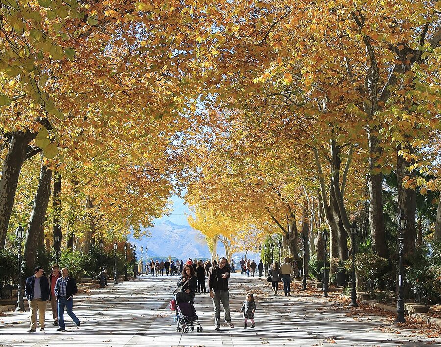 Alameda del Tajo Ronda viewpoint park