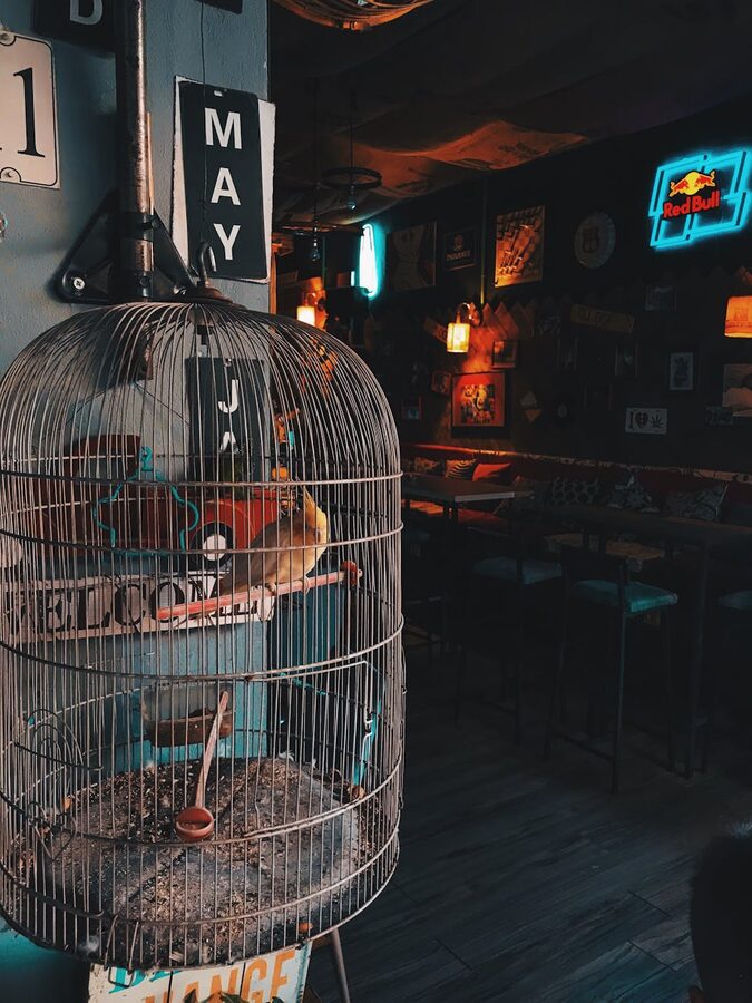 Pub interior with birdcage and neon lights