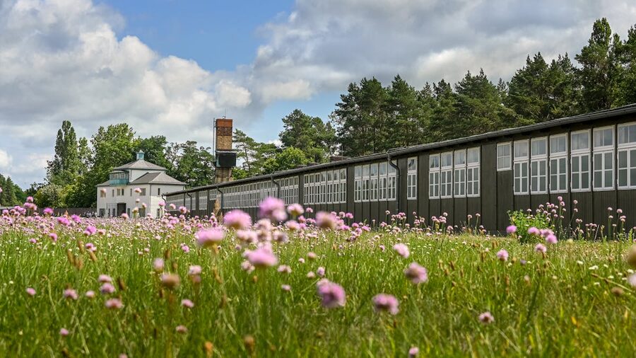 Wildflowers blooming near memorial buildings at Sachsenhausen in Germany