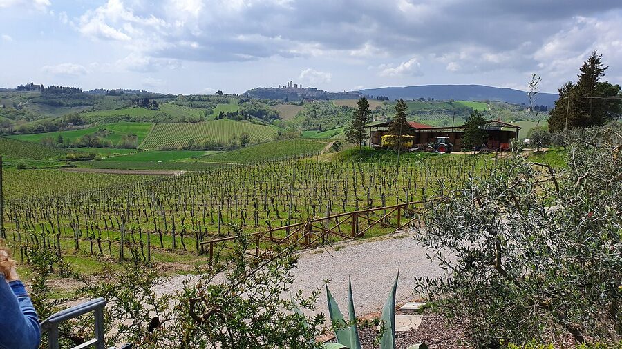 Remote view of San Gimignano Tuscany