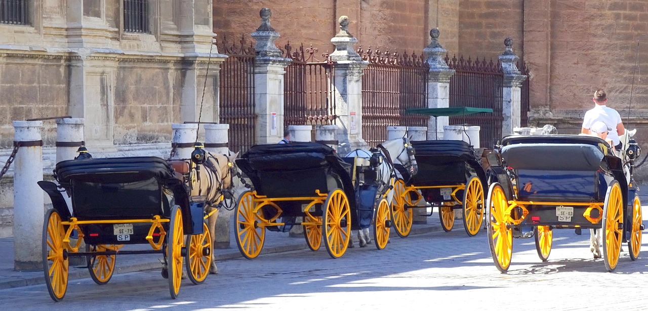 Seville horse carriage