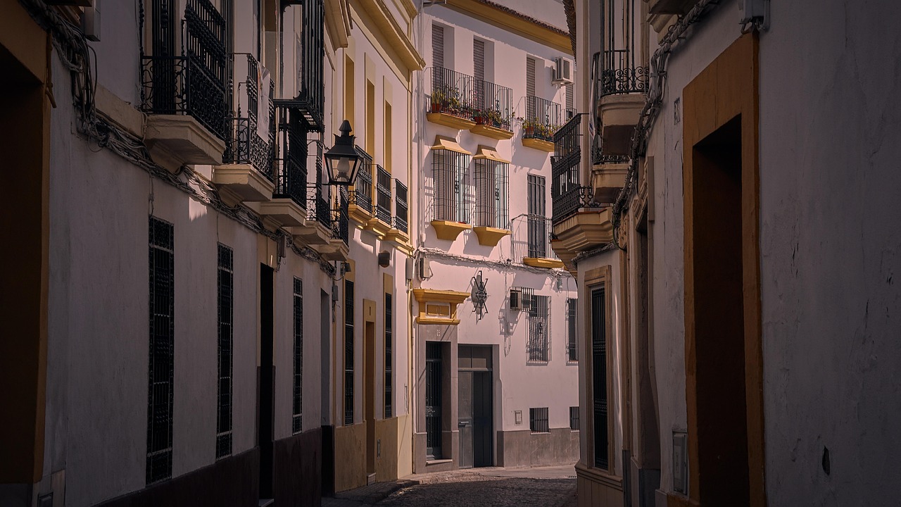 Seville streets with orange trees