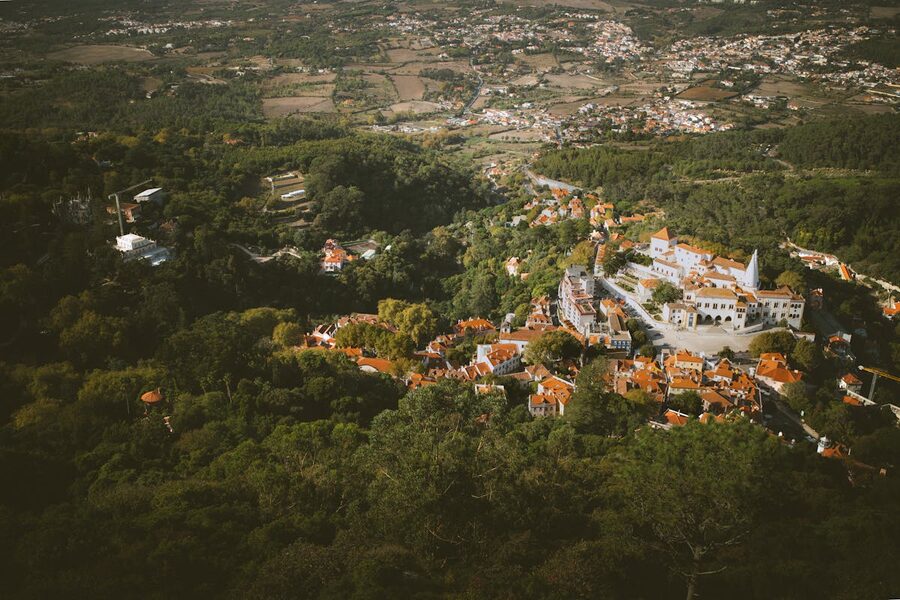 Aerial view of Sintra Portugal showing historic buildings and forested hills