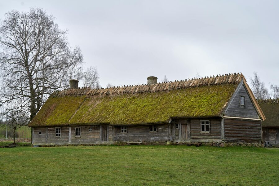 Nordic farmhouse with moss-covered walls at an open-air museum