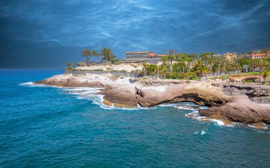 Tenerife coastline with palm trees and cliffs