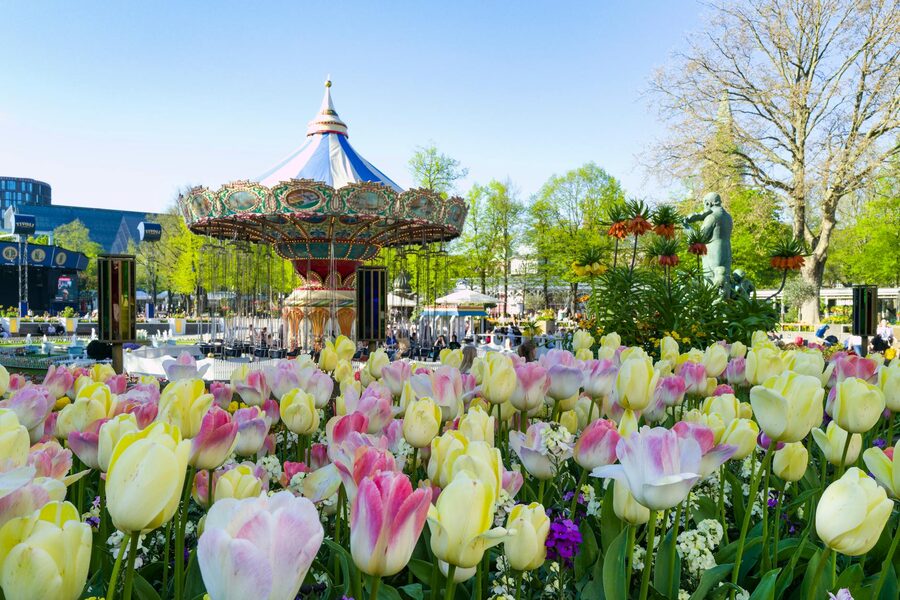 Spring tulips blooming near a carousel in Tivoli Gardens