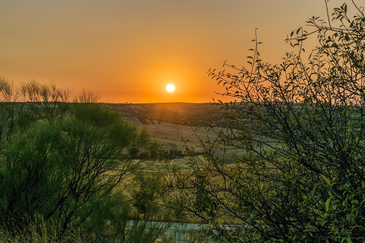 Toledo sunset skyline