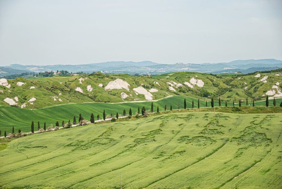 Tuscan green hills with cypress trees