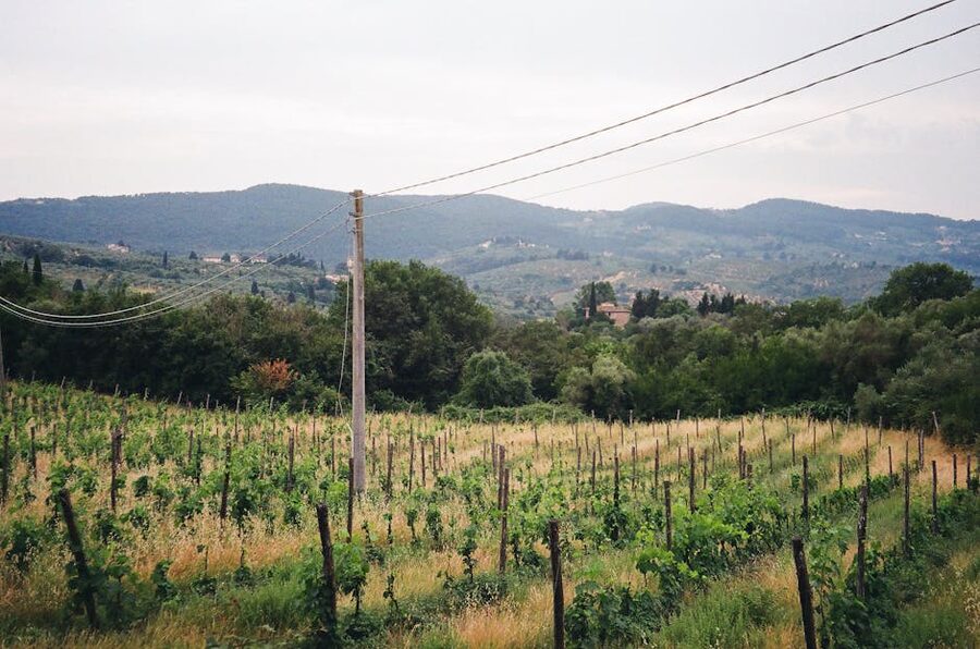 Tuscany vineyard against rolling hills