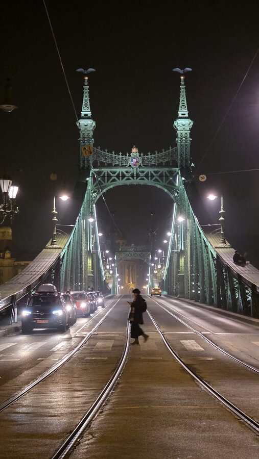 Liberty Bridge in Budapest at night