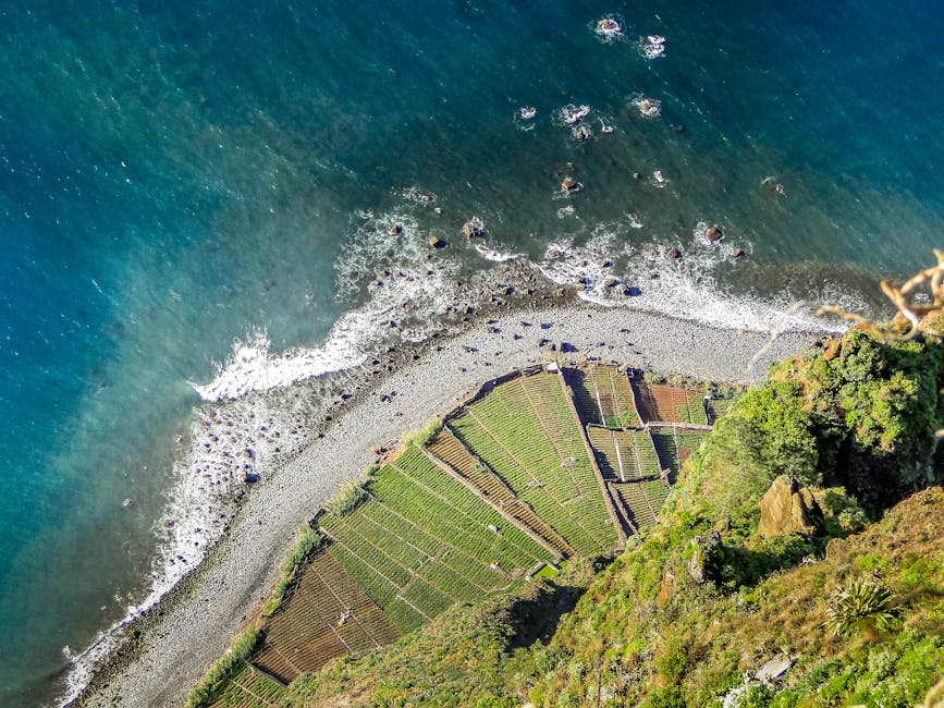 Câmara de Lobos aerial view with ocean