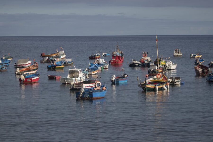 Camara de Lobos fishing boats Madeira