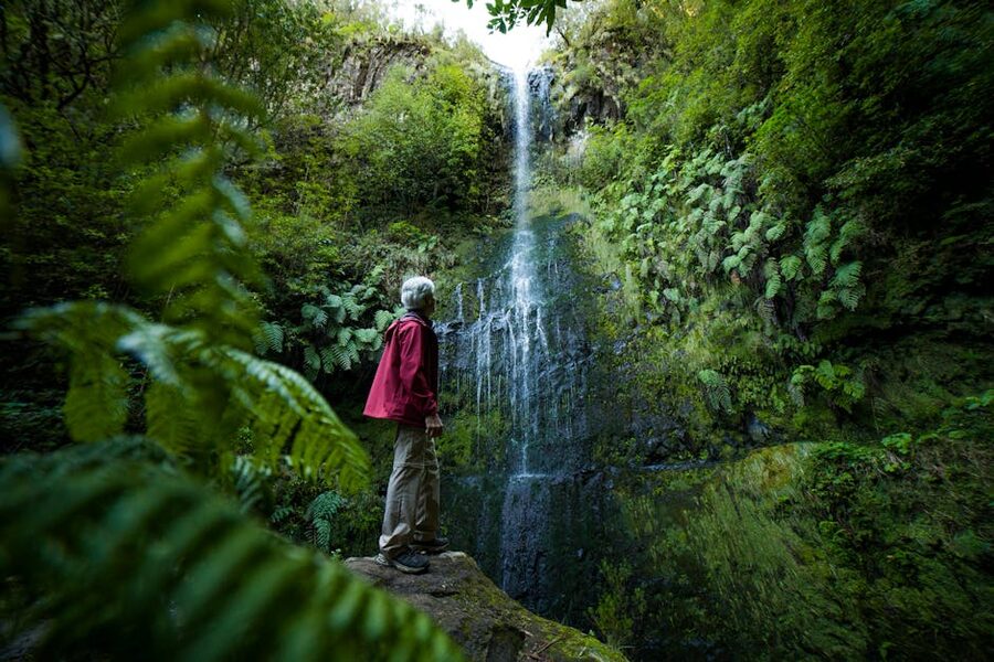 Hiker gazes at waterfall Madeira forest