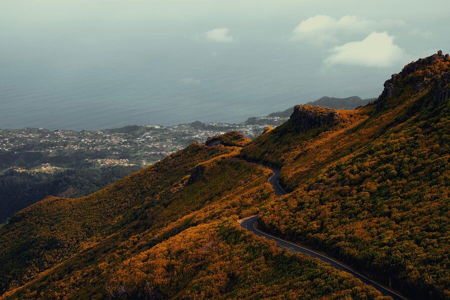 Madeira coast road mountain laurel forest