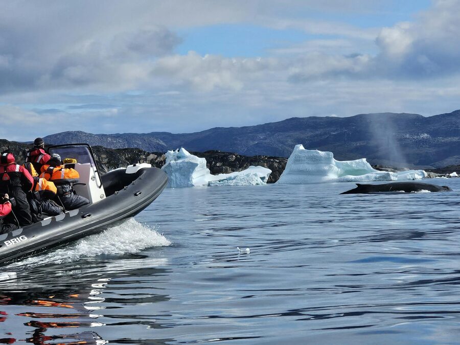Whale watching boat among icebergs in Arctic waters