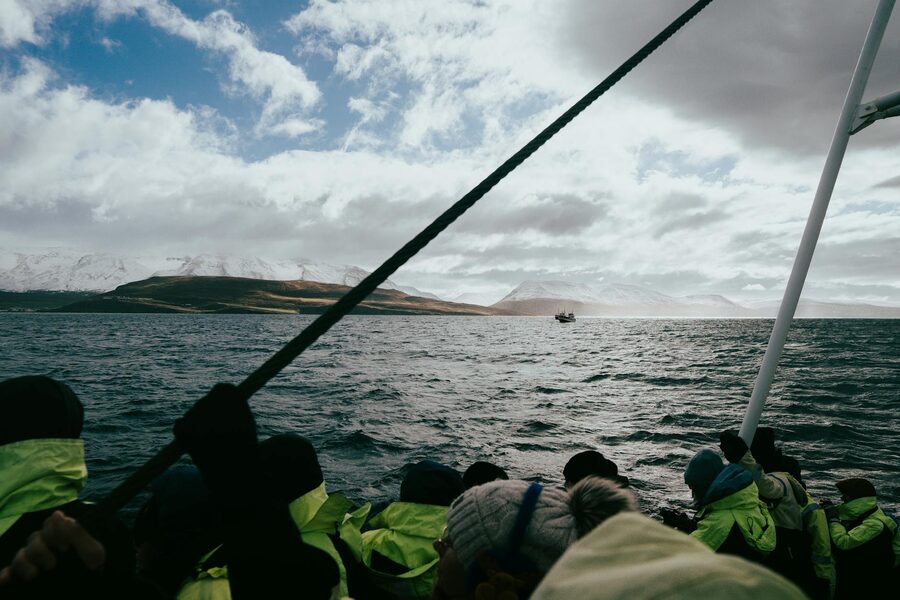 Whale watching tour boat in a fjord with snow-capped mountains