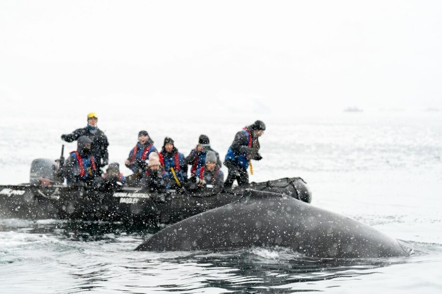 Group of people whale watching from a pontoon in snowy Arctic waters