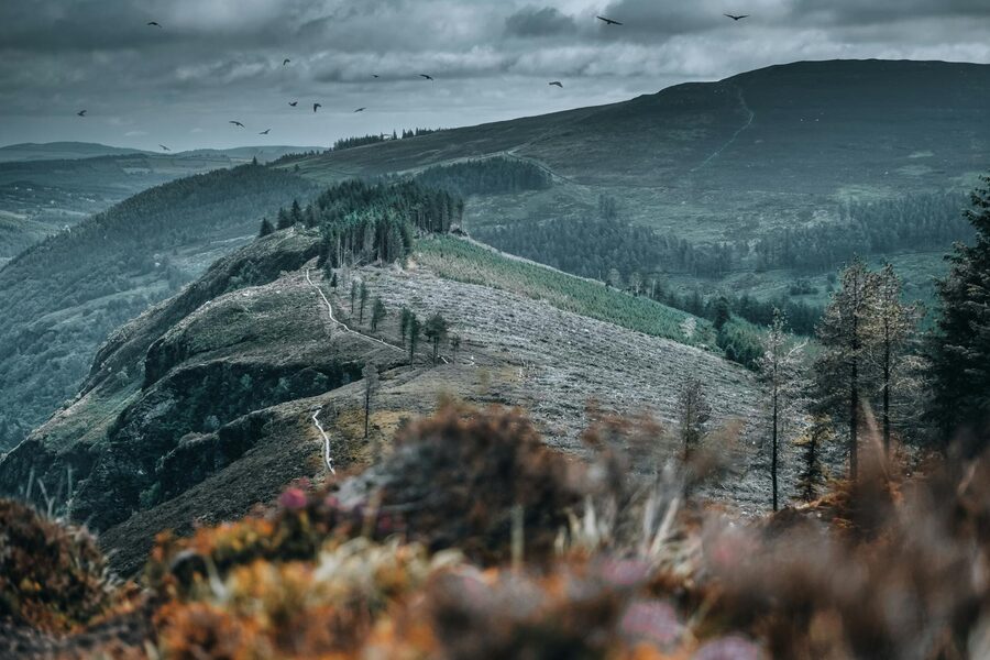 Rolling hills and green terrain of the Wicklow Mountains Ireland