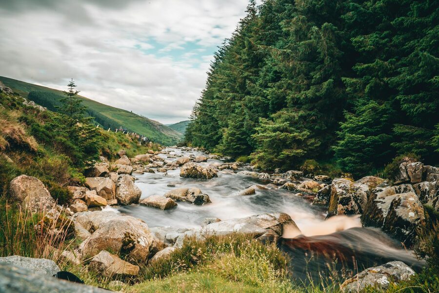 Stream flowing over mossy rocks in a Wicklow forest