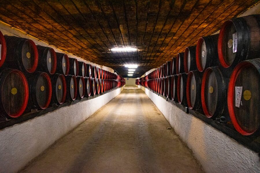 Long corridor of wooden wine barrels