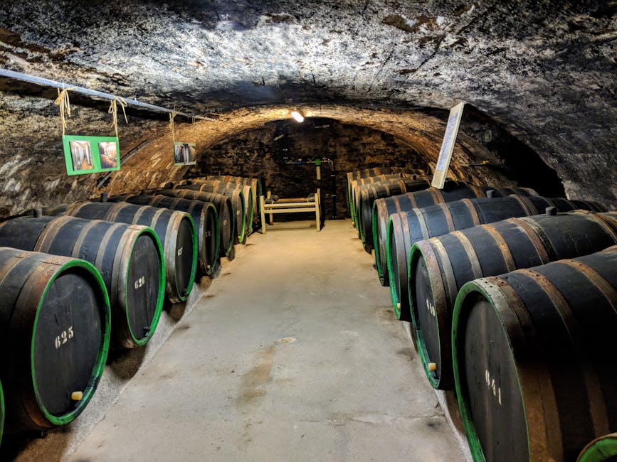 Atmospheric wine cellar with oak barrels