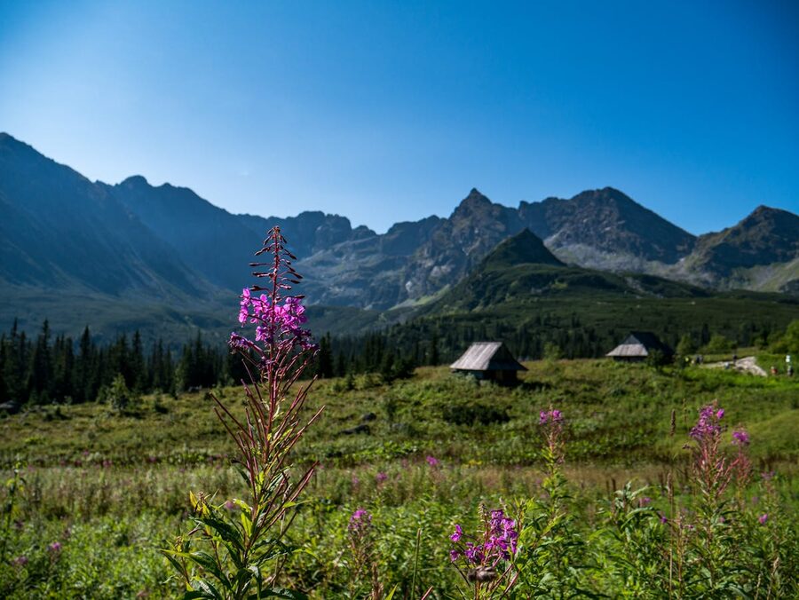 Traditional wooden building in Zakopane style